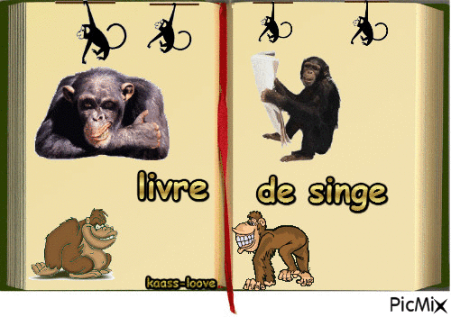 les singes